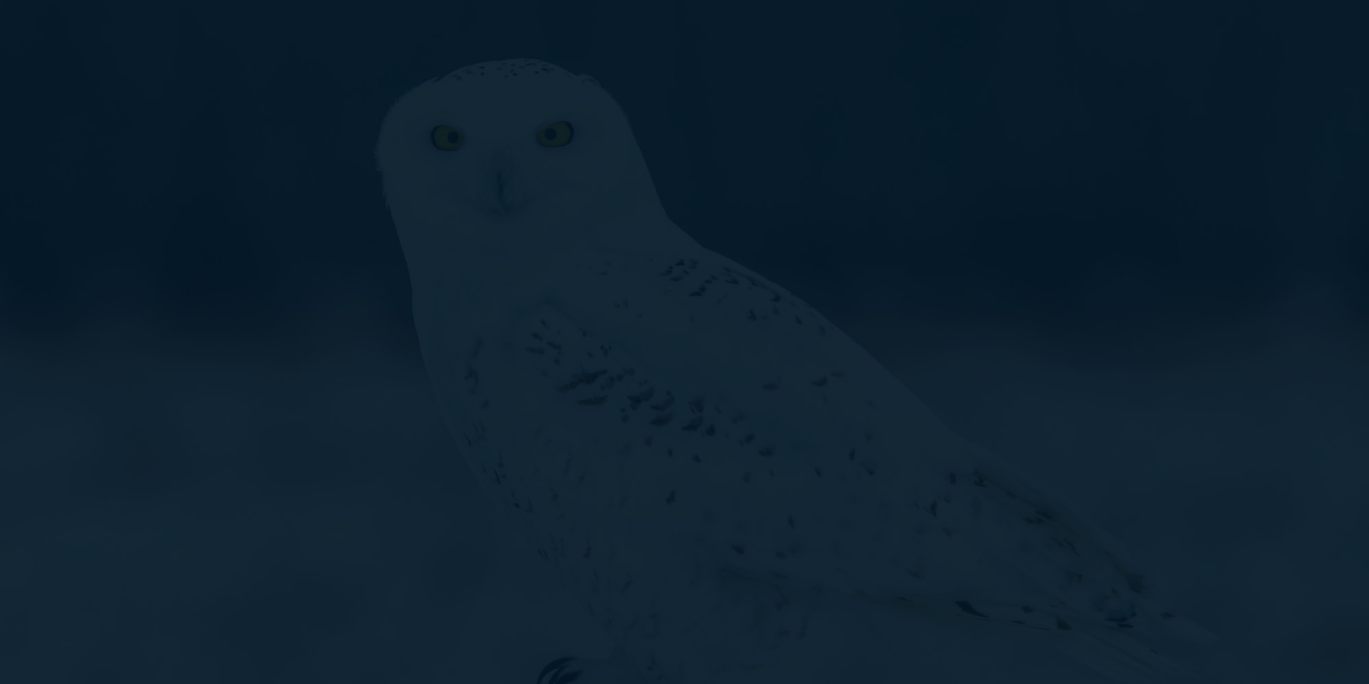 Blog | See news, insights and media coverage | Arctic Intelligence