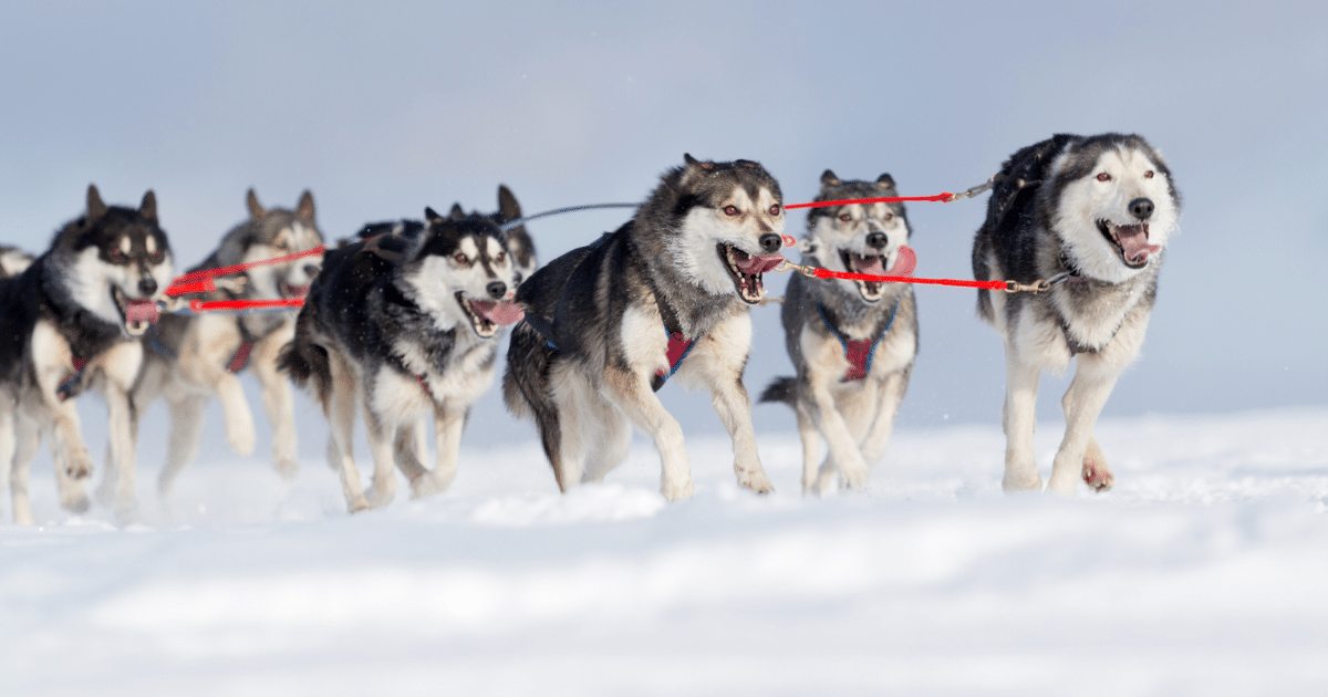 The Role of ESG in Financial Crime Risk Assessments – AML Compliance ...