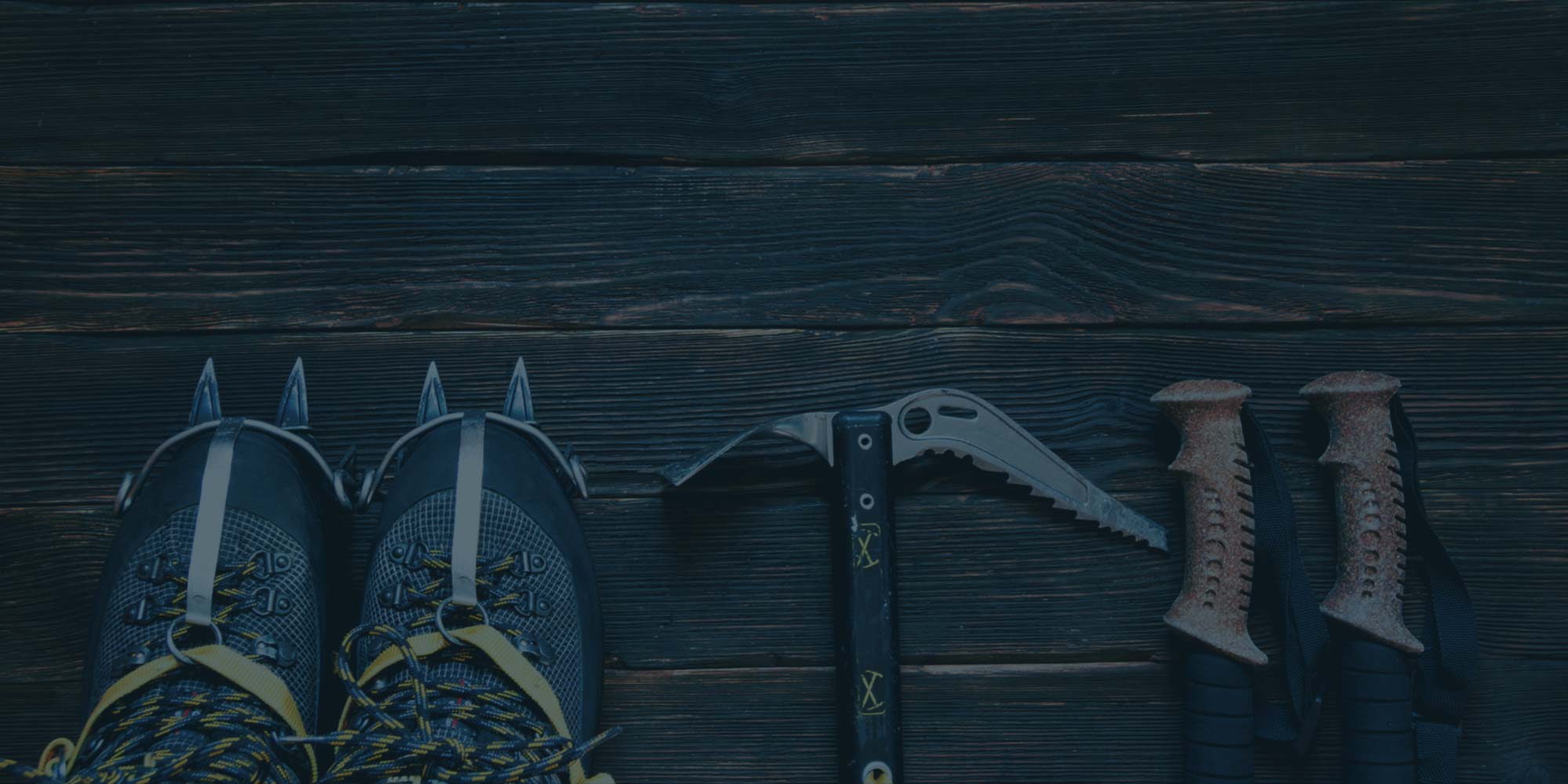 Set them free – AML Compliance | Arctic Intelligence